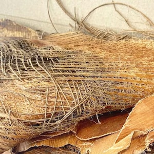 Naturally Dried Palm Tree Fiber - Etsy