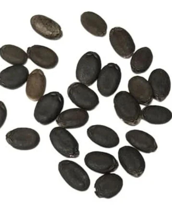 Organic Luffa/loofah Seeds - Etsy