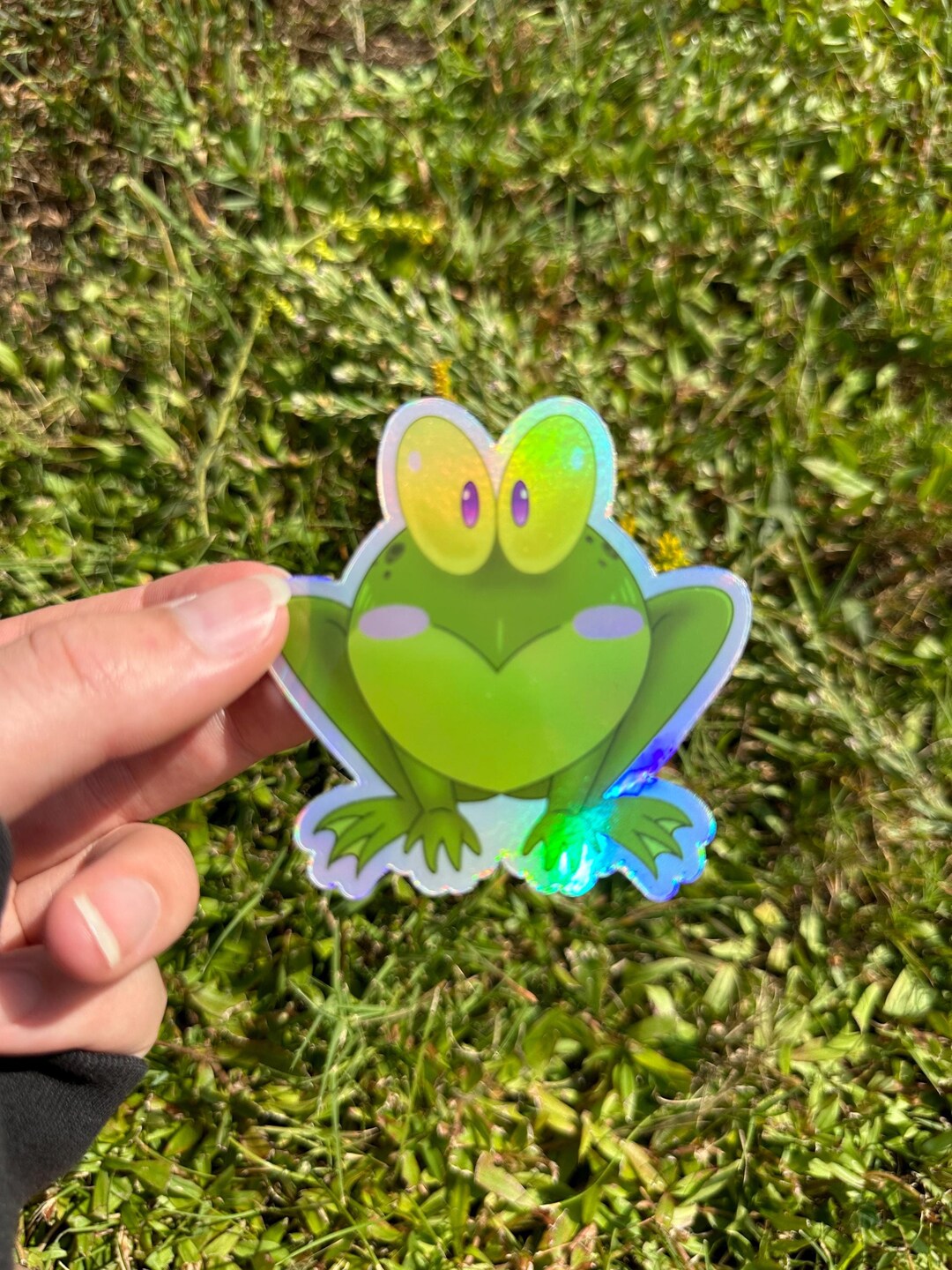 Cute Frog Sticker Holographic Sticker - Etsy