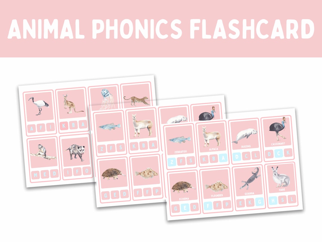 Unique Animal Phonics Flashcards Memory-boosting Digital PDF, 32 ...
