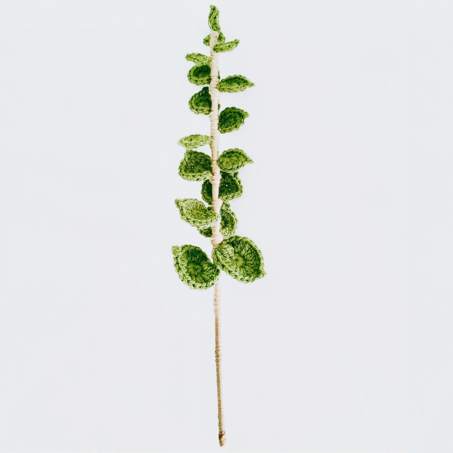 Eucalyptus Leaf Stem Crochet PDF Pattern, Plant Stem, Leaves - Etsy