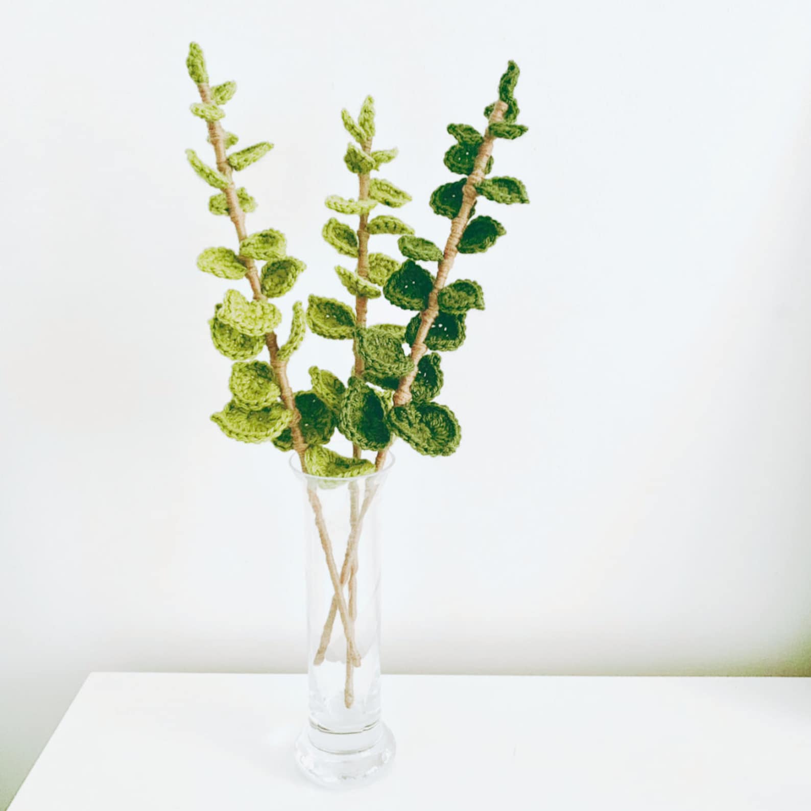 Eucalyptus Leaf Stem Crochet PDF Pattern, Plant Stem, Leaves - Etsy