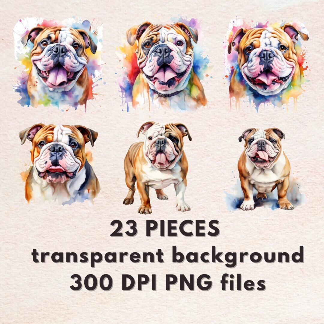 23 English Bulldog Dog Clipart | Watercolor Dog | PNG Bundle Digital ...
