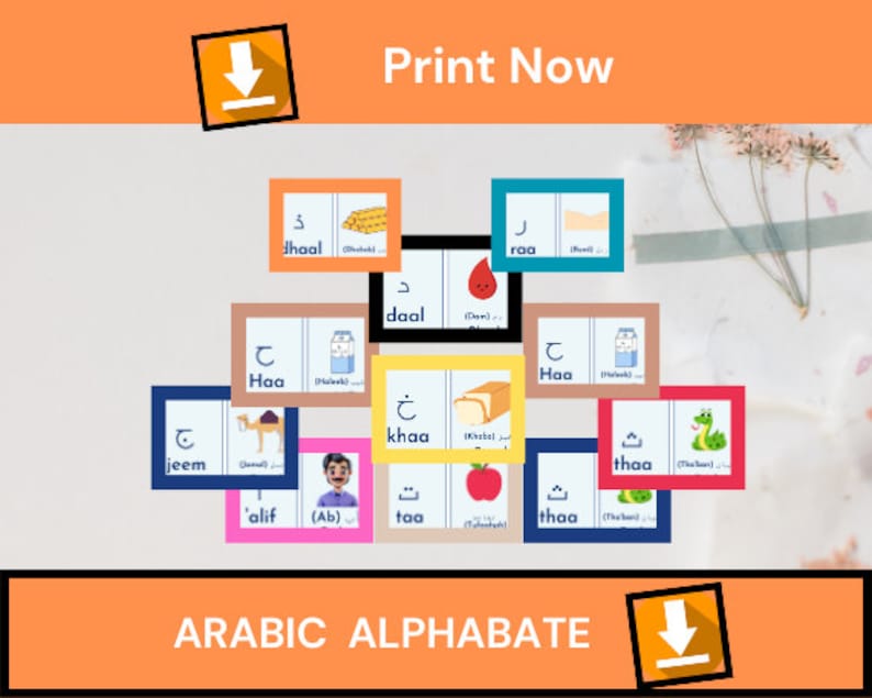 Arabic Alphabet Flash Cards & Printable Arabic Card Bundle Instated ...