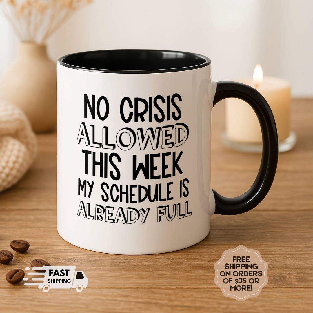 No Crisis Allowed Mug, My Schedule is Full, Funny Coffee Mug, Burnout ...