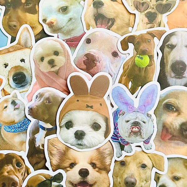 Stickers de perros - Etsy México
