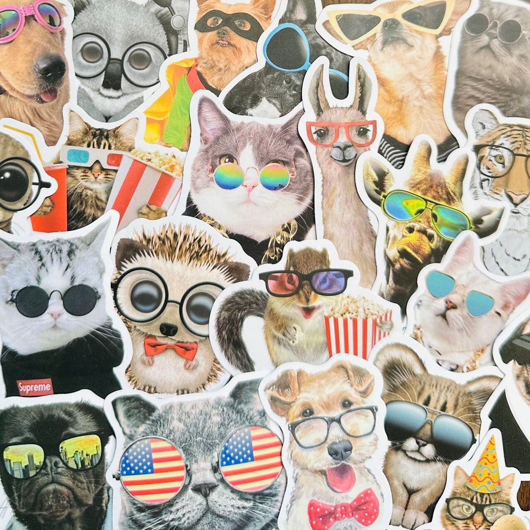 50 Funny Animal With Glasses Stickers 1 Kawaii Gift Waterproof Sticker ...