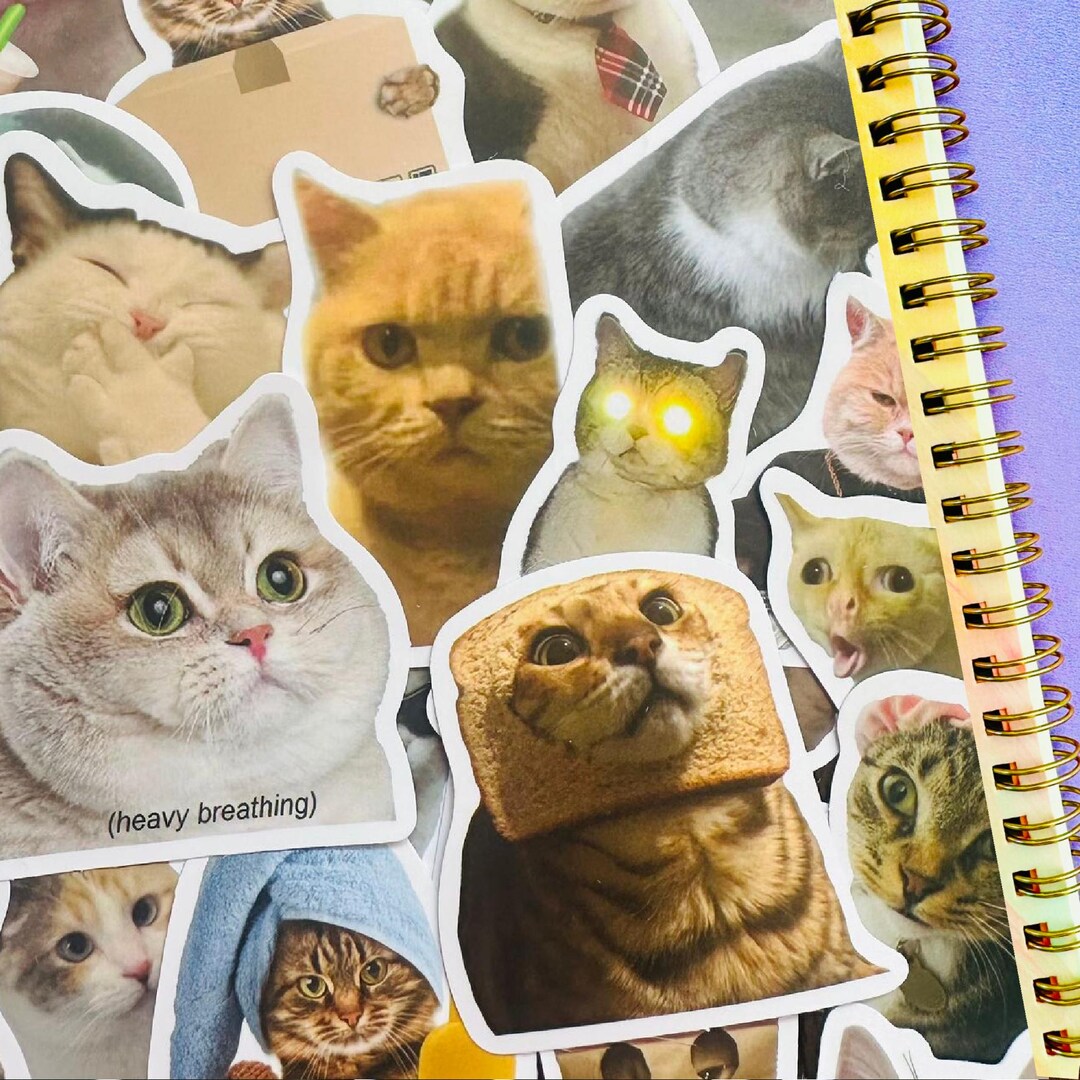 50 Funny Cat Sticker Pack 1 Kawaii Meme Gift Waterproof Stickers Decals ...