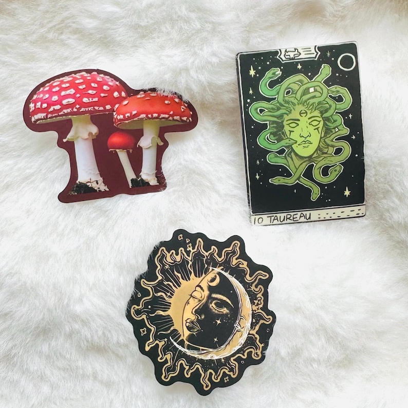 50 Vintage Grunge Celestial Stickers, Fun Sticker Pack for Bullet ...