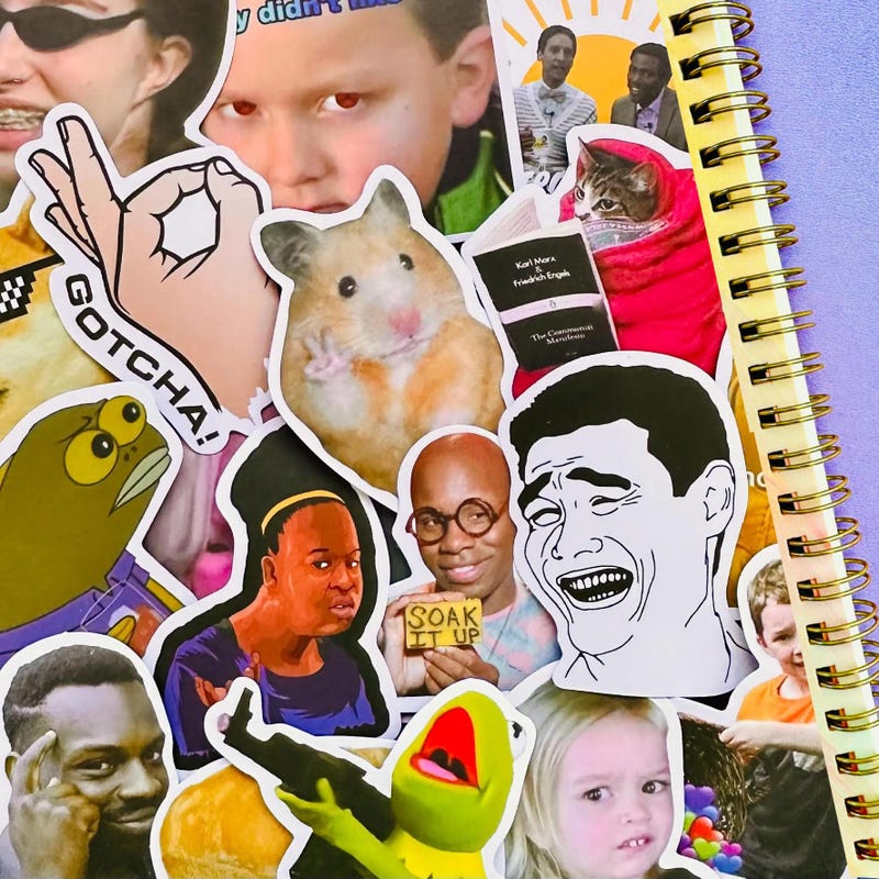 50 Pack of Meme Stickers - Etsy