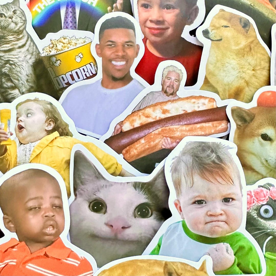 12-50 Meme Stickers, Funny Sticker Pack, Waterproof Stickers, Laptop ...