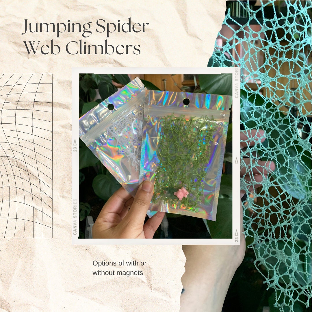 Jumping Spider Web Climbers - Etsy