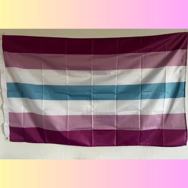 Femboy Flag Flag - Etsy