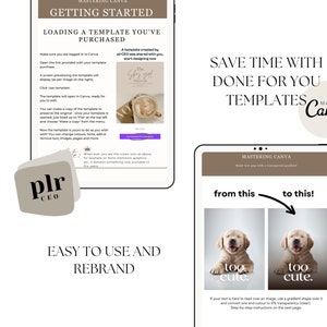 Mastering Canva Step by Step Guide Canva Template Editing Skills How to ...