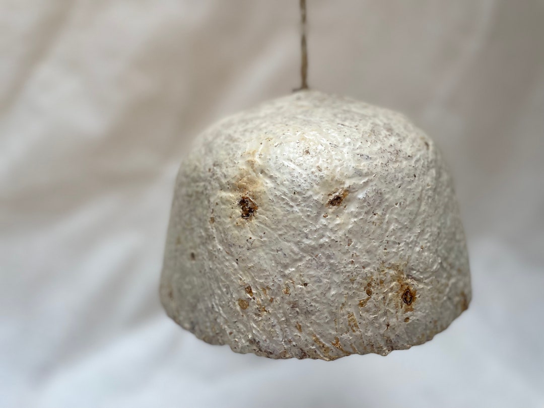 Mycelium Light Fixture 23cm X 15cm - Etsy