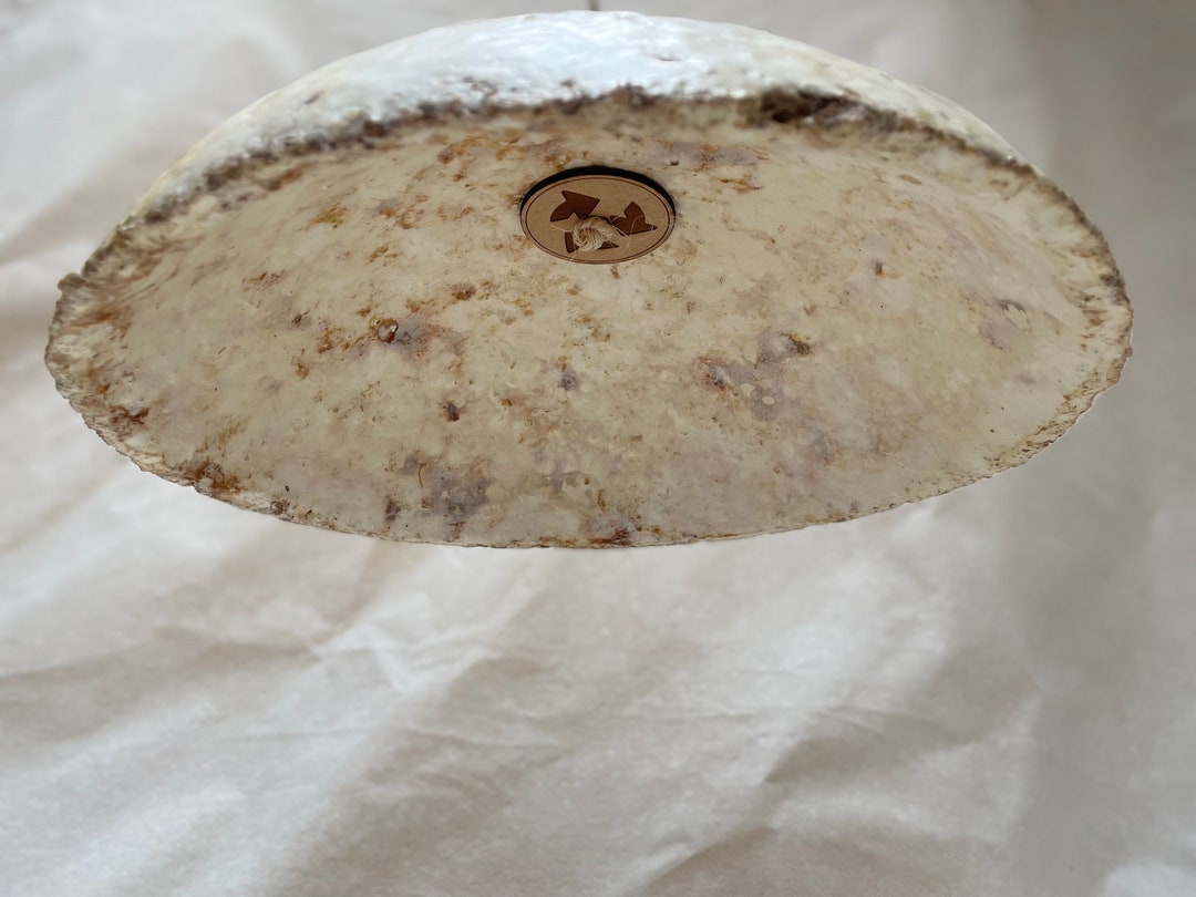 Mycelium Light Fixture 33cm - Etsy