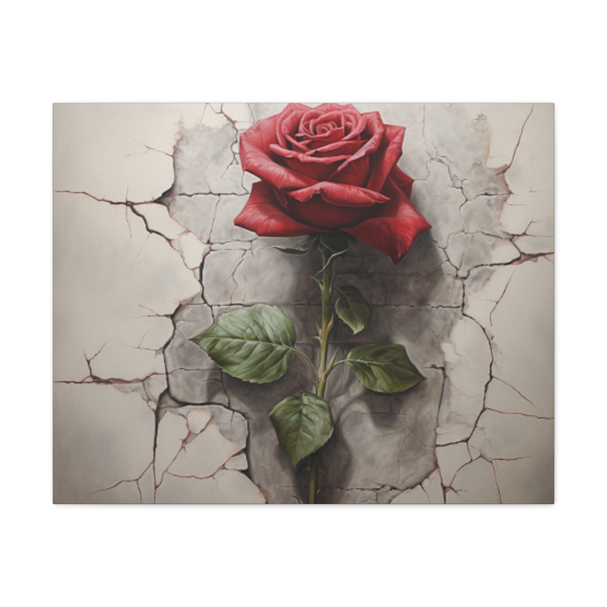 The Rose That Grew From Concrete Canvas Gallery Wrap (11 Different Size ...