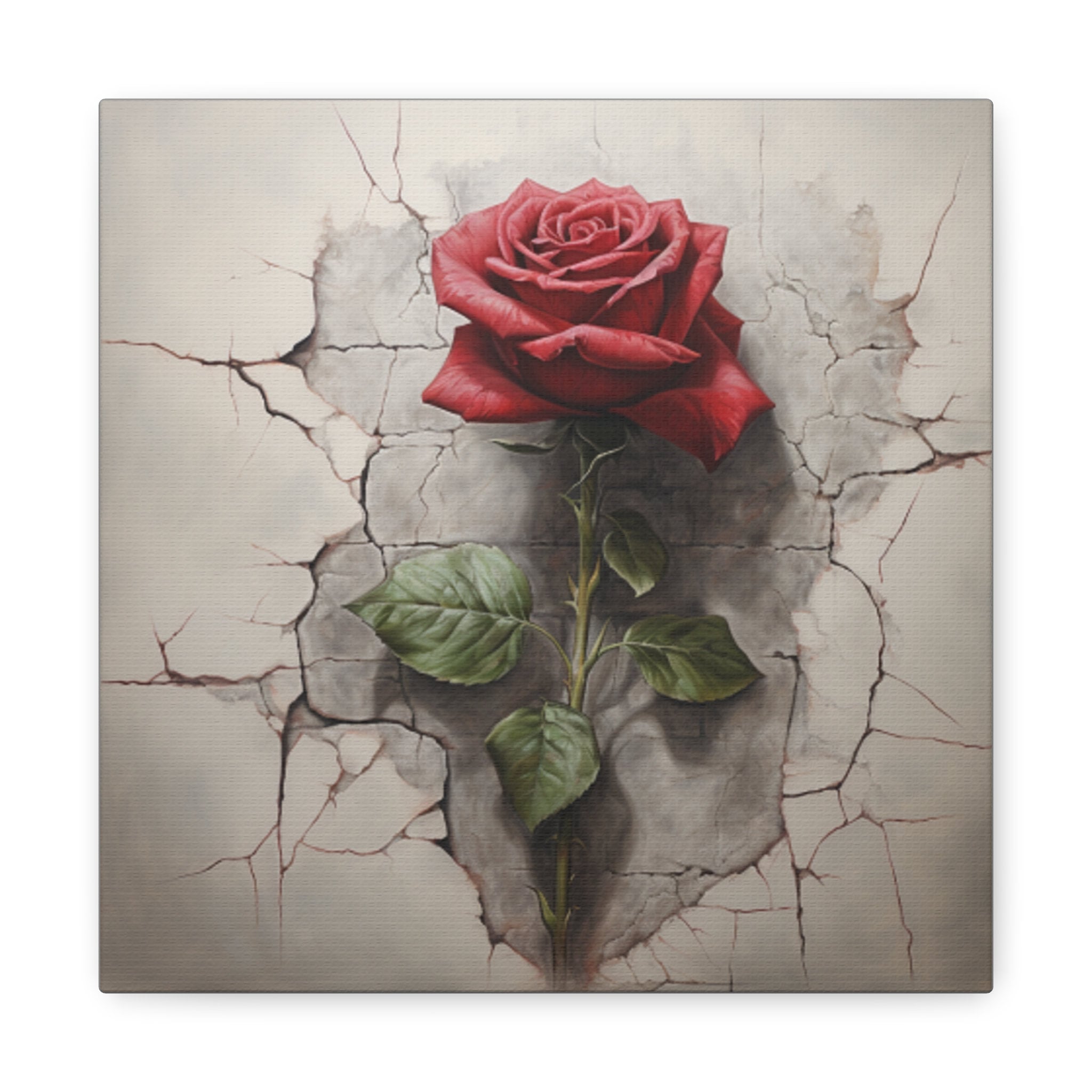 The Rose That Grew From Concrete Canvas Gallery Wrap (11 Different Size ...