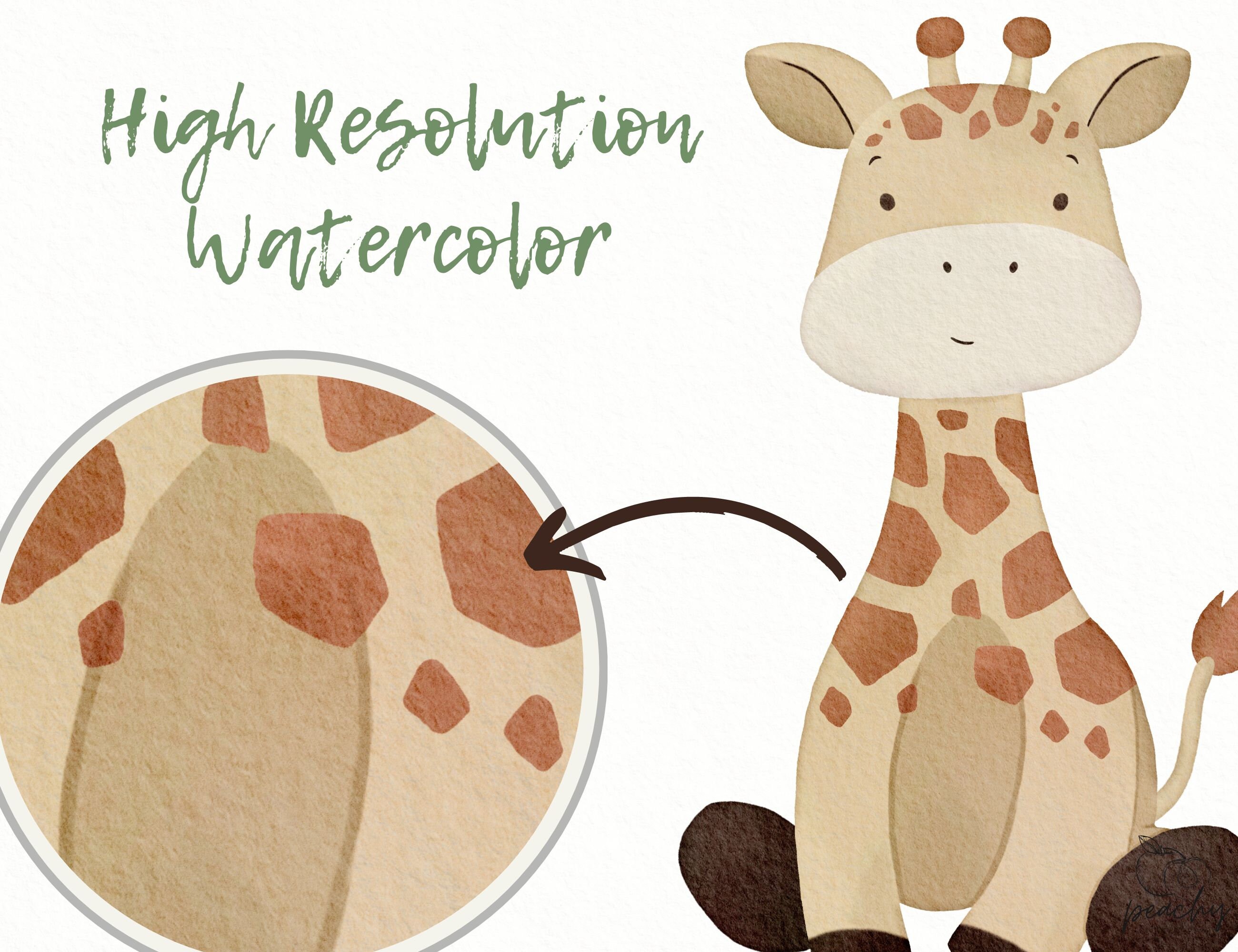 Safari Watercolor Clipart Bundle, Jungle Animals for Baby Shower and ...