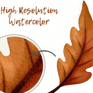 Watercolor Fall Nature Clipart Bundle, Autumn Season Theme PNG Files ...