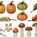 Watercolor Fall Nature Clipart Bundle, Autumn Season Theme PNG Files ...