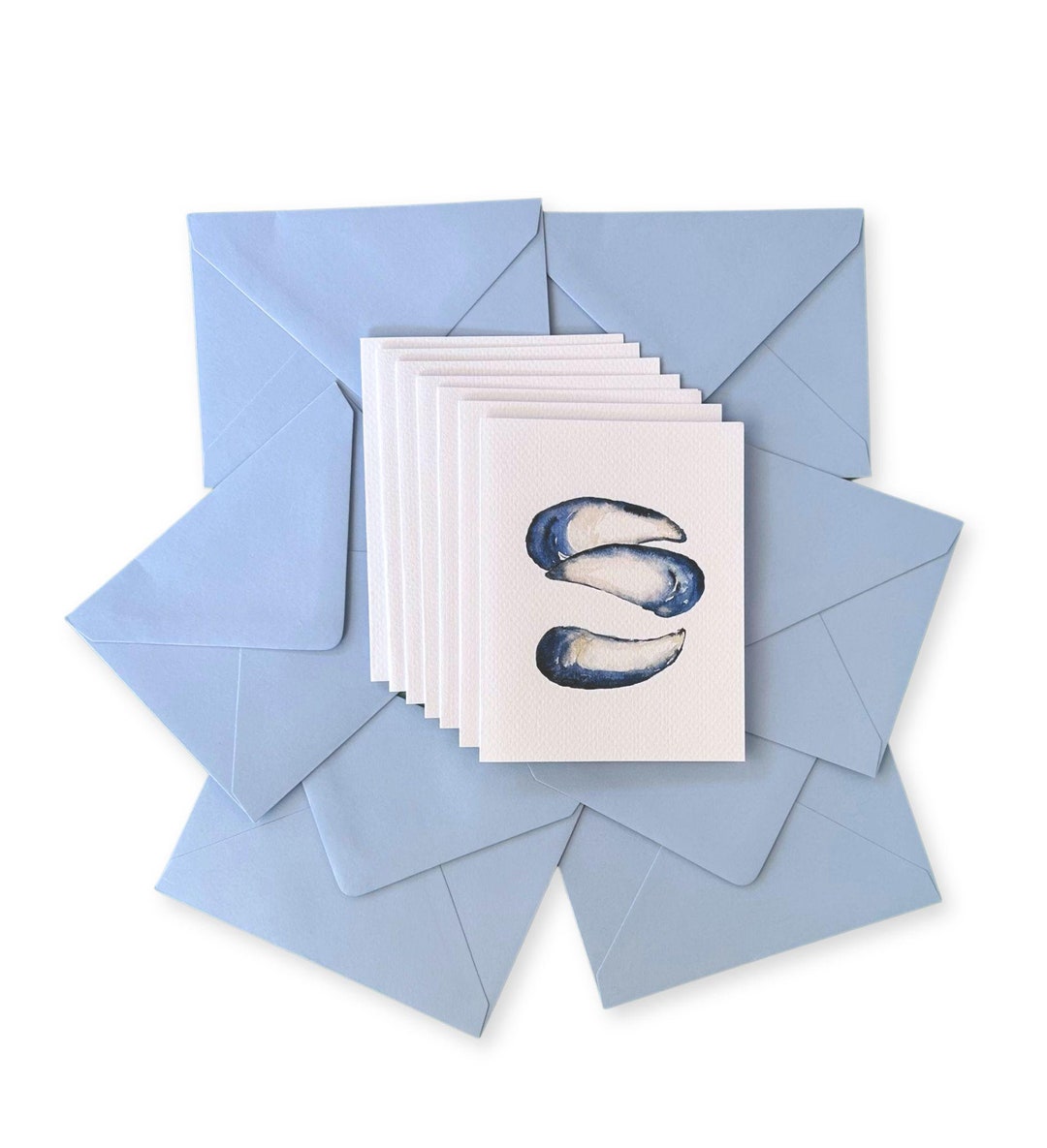 Watercolor Mussel Shell Note Card Set - Maine Coast Cards, Handmade ...