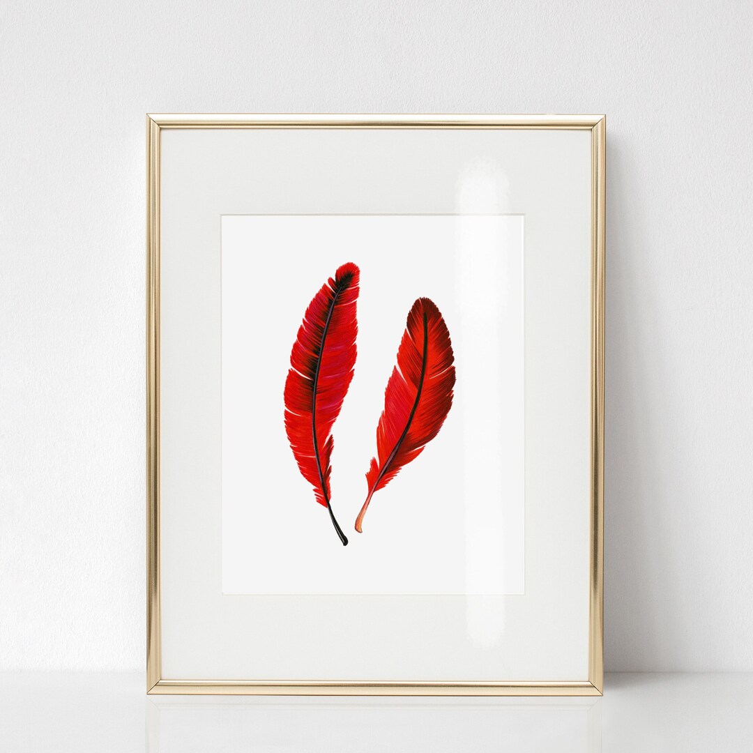 Cardinal Feathers Fine Art Print - Etsy