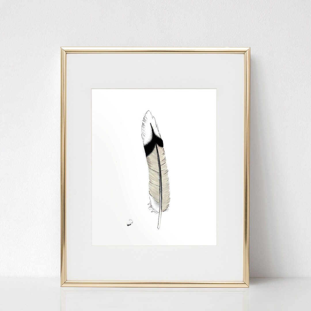 Mocking Bird Feather Fine Art Print - Etsy