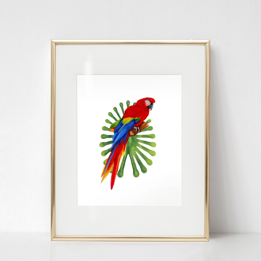Red Guacamaya Fine Art Print - Etsy UK