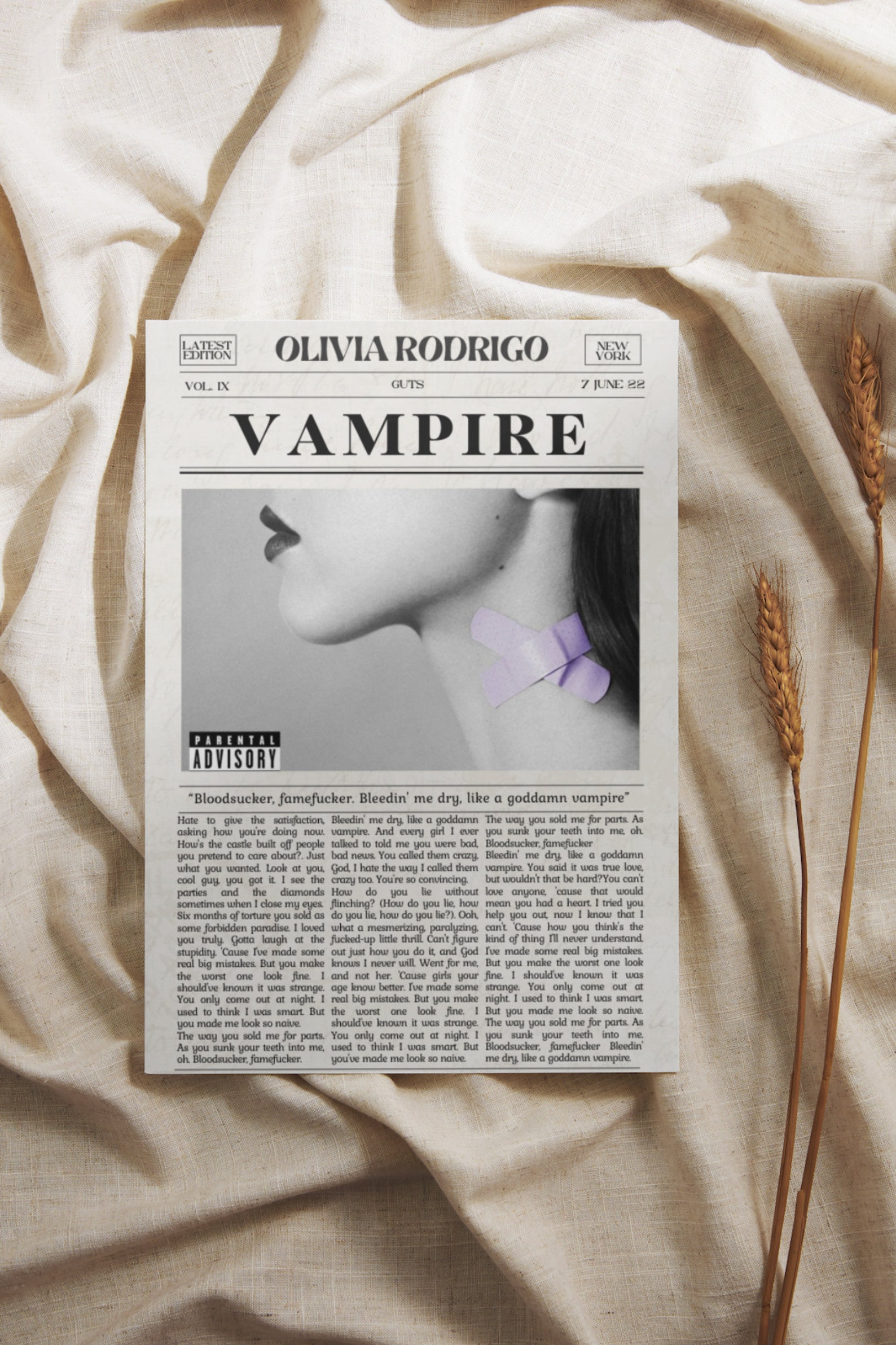 Olivia Rodrigo Vampire Album Poster, Guts Music Album Cover Retro ...
