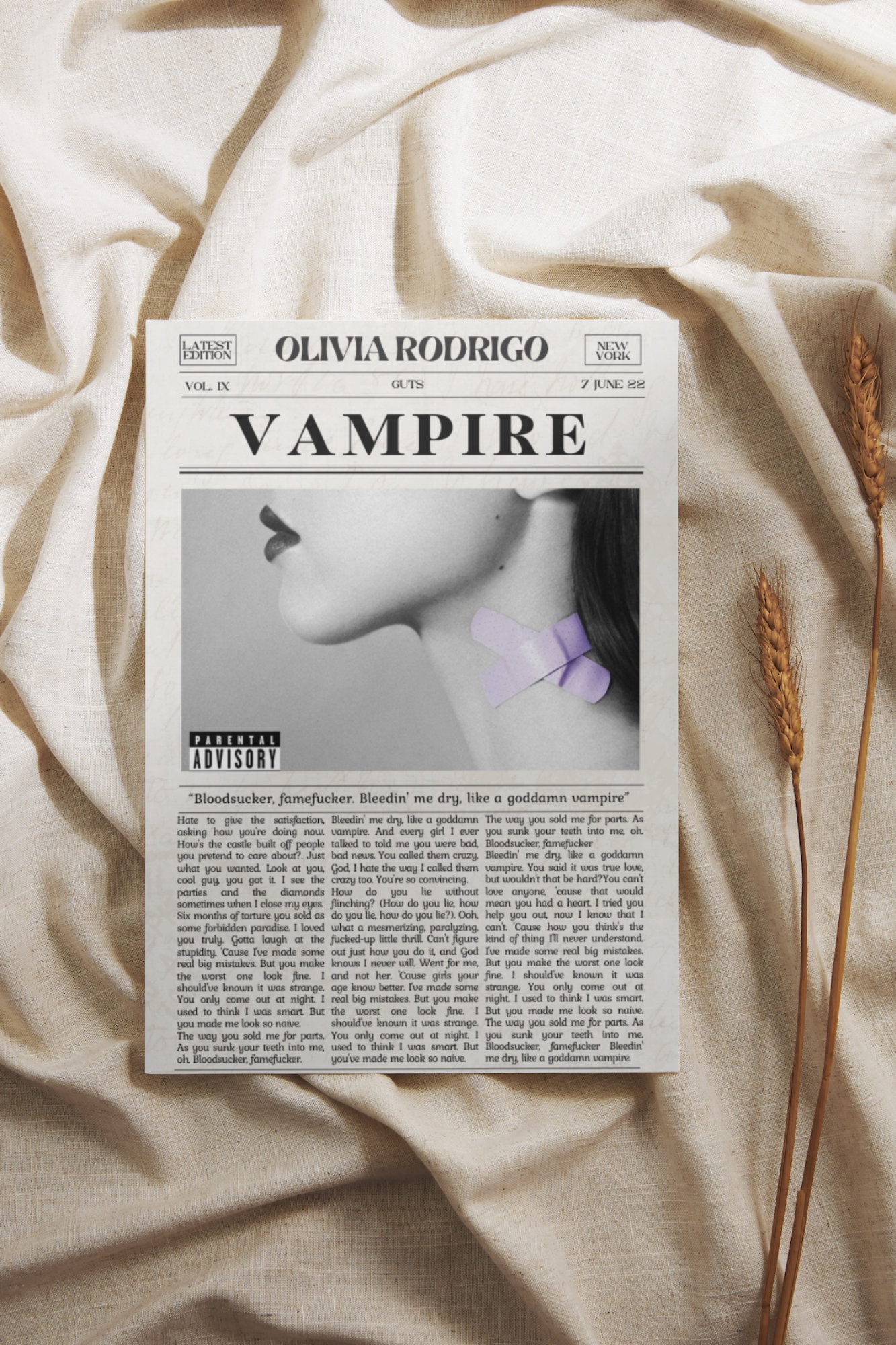 Olivia Rodrigo Vampire Album Poster, Guts Music Album Cover Retro ...