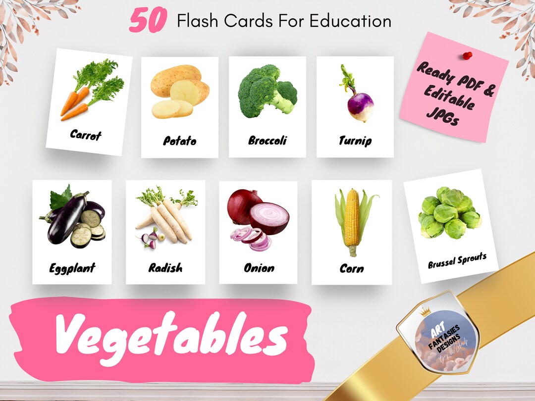 Vegetable Flashcard Biology & Life Science Learn Vegetable - Etsy