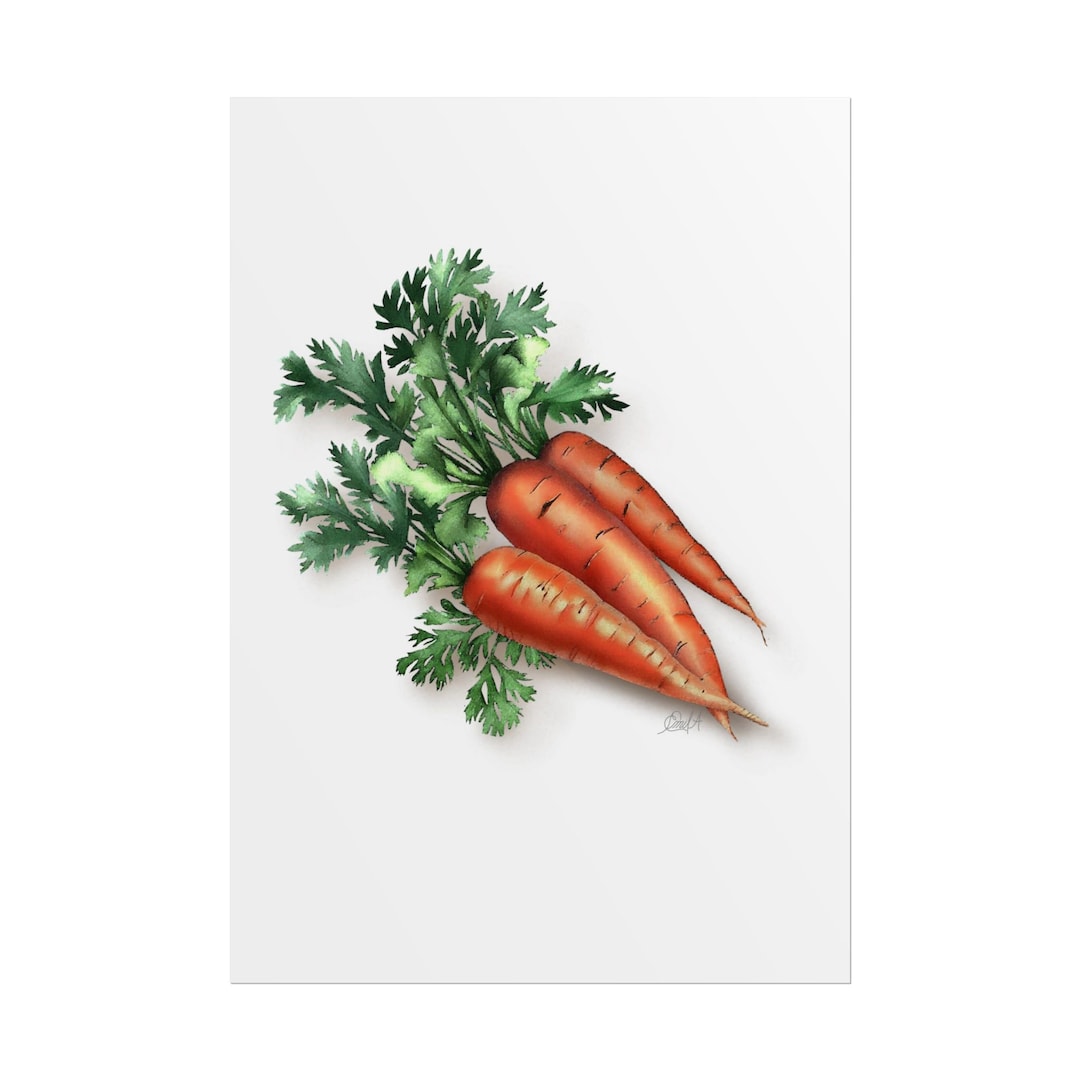 Carrots Botanical | Watercolor | Paper Print | Home Decor | Wall ...