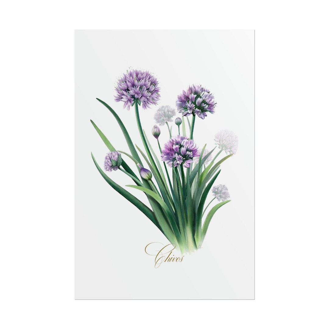 Chives Botanical Prints Watercolor Fine Art Home Decor Restaurant Decor ...