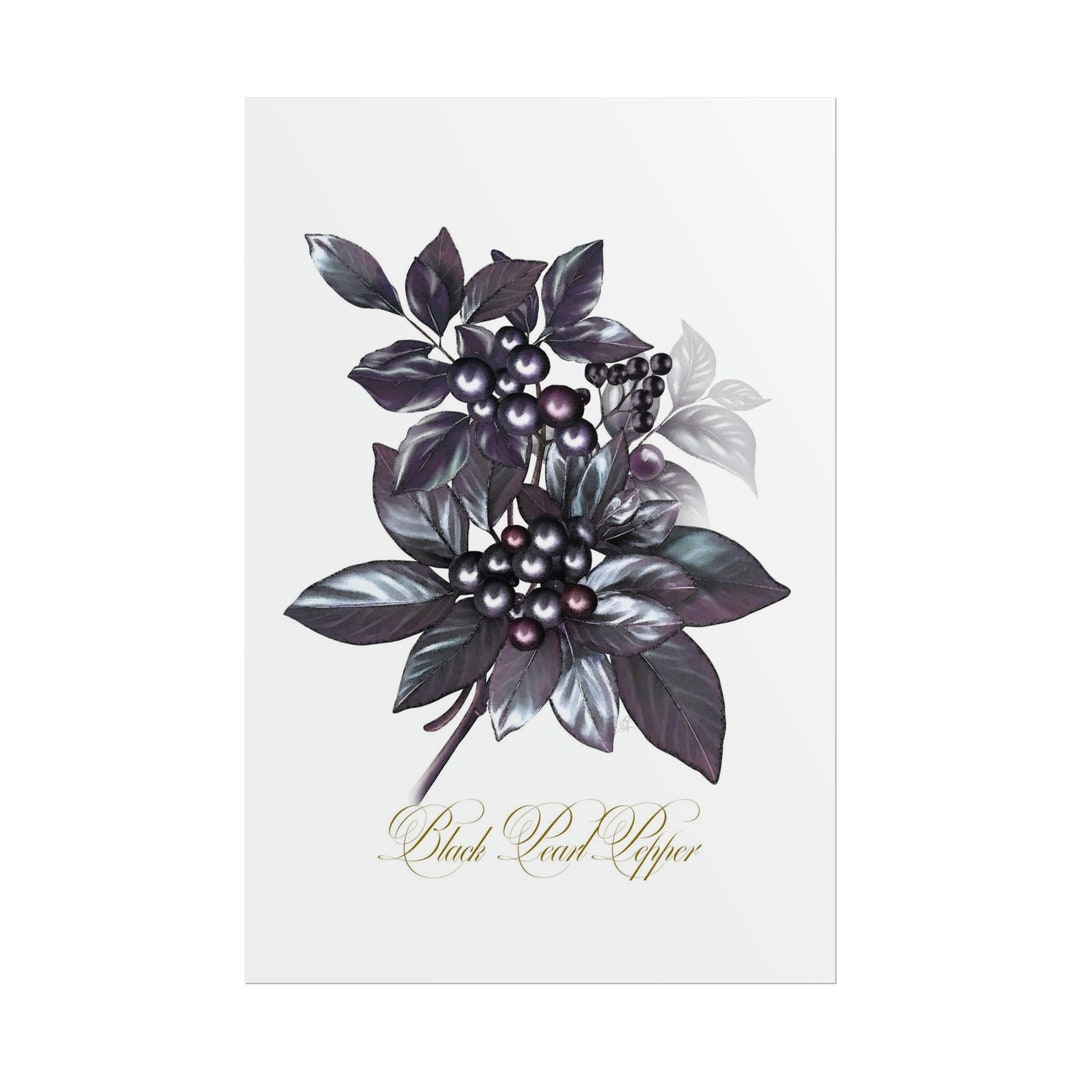 Black Pearl Pepper Watercolor Print, Botanical Art on Archival Paper - Etsy