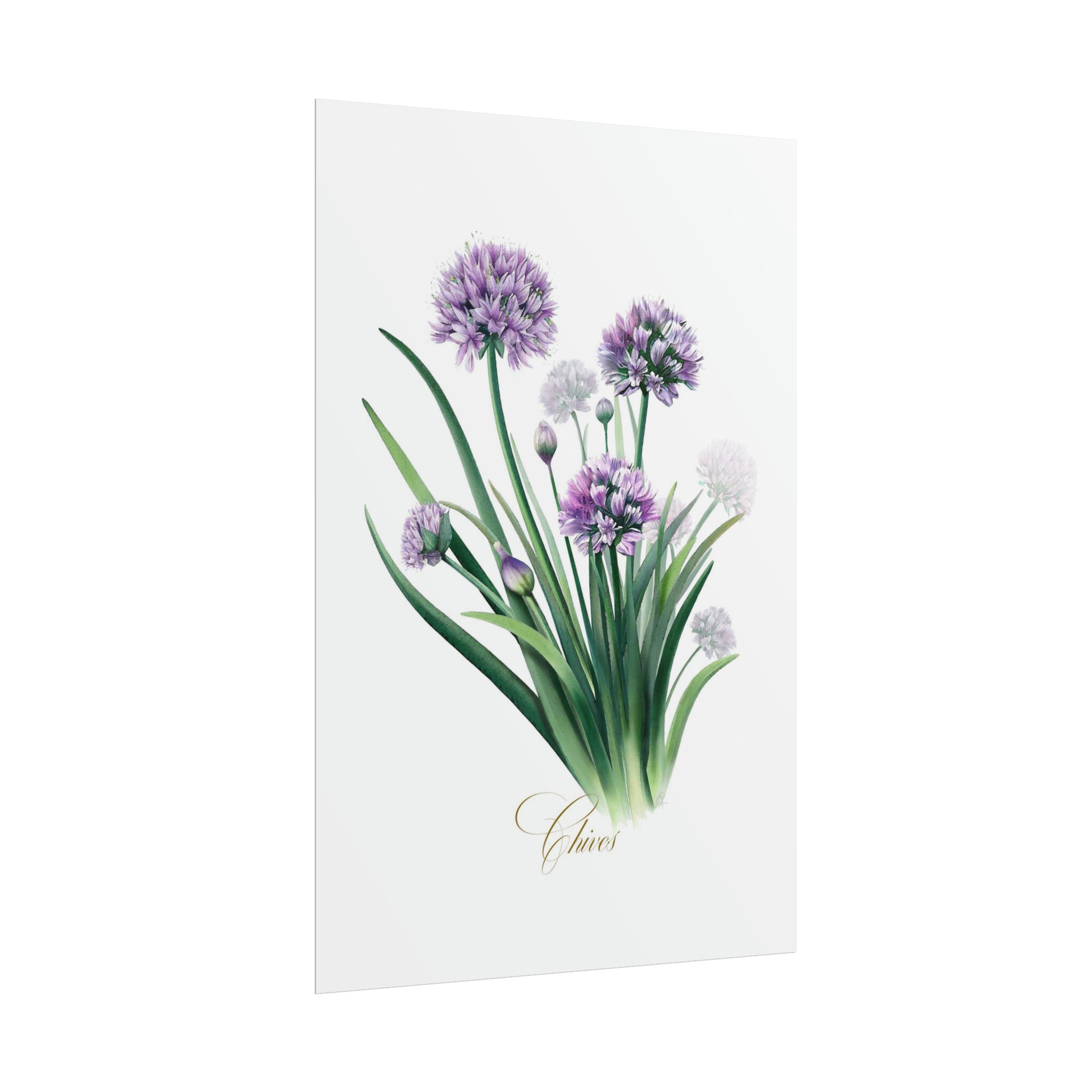 Chives Botanical Prints Watercolor Fine Art Home Decor Restaurant Decor ...