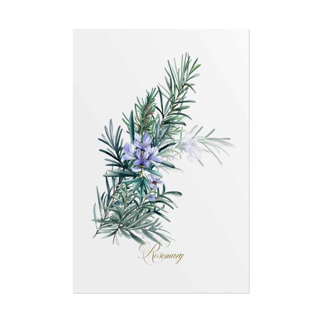 Rosemary Botanical Prints Watercolor Fine Art Home Decor Restaurant ...