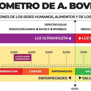 Bovis Biometer, Essential for the Use of the Pendulum, Bovis Biometer, Global Biometer and ...