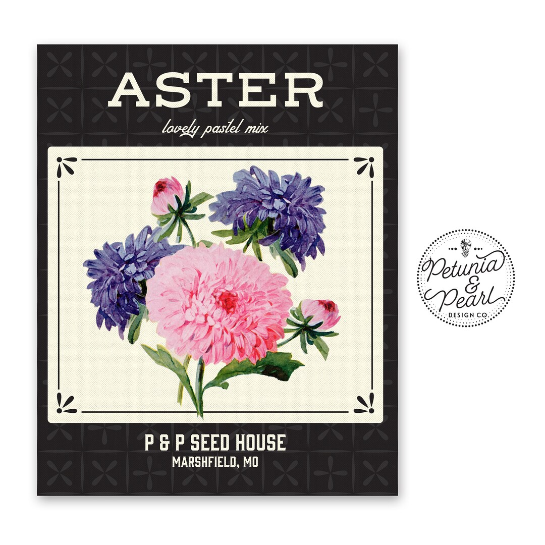 Aster Flower Seed Packet-inspired Wall Art · Retro Style Print ...