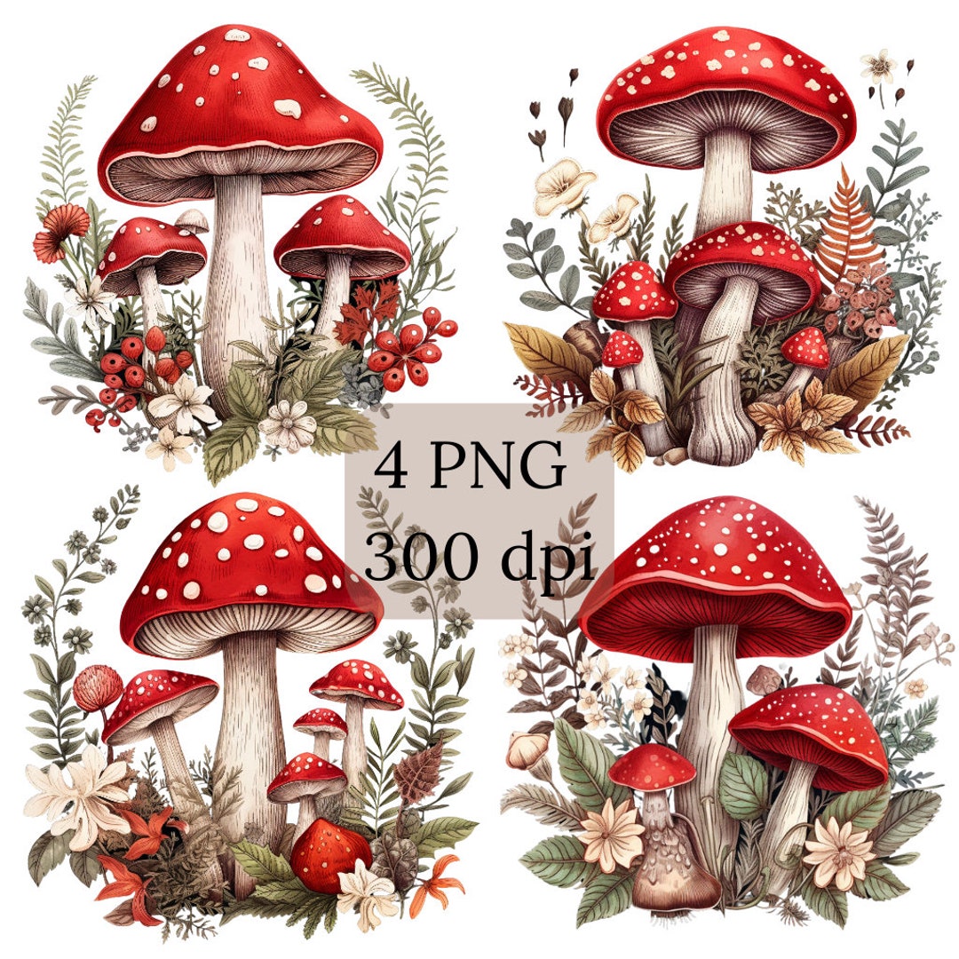 Botanical Red Toadstool Illustration Set: 4 High Quality 300 DPI ...