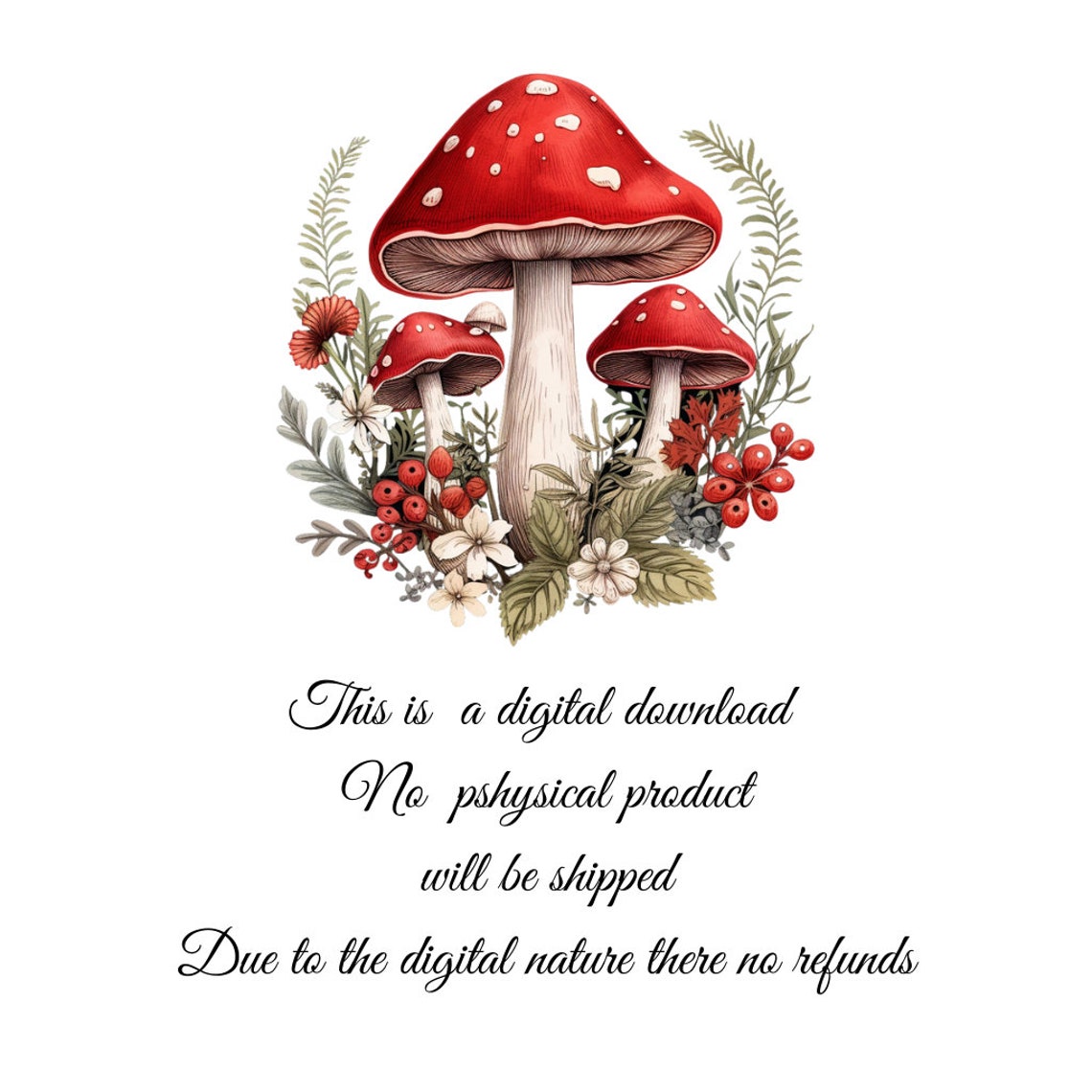 Botanical Red Toadstool Illustration Set: 4 High Quality 300 DPI ...