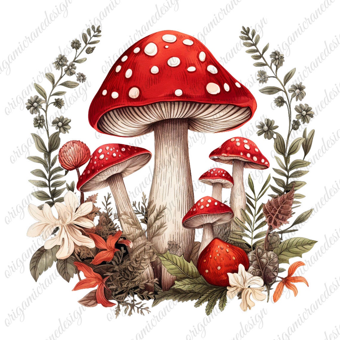 Botanical Red Toadstool Illustration Set: 4 High Quality 300 DPI ...