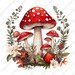 Botanical Red Toadstool Illustration Set: 4 High Quality 300 DPI ...