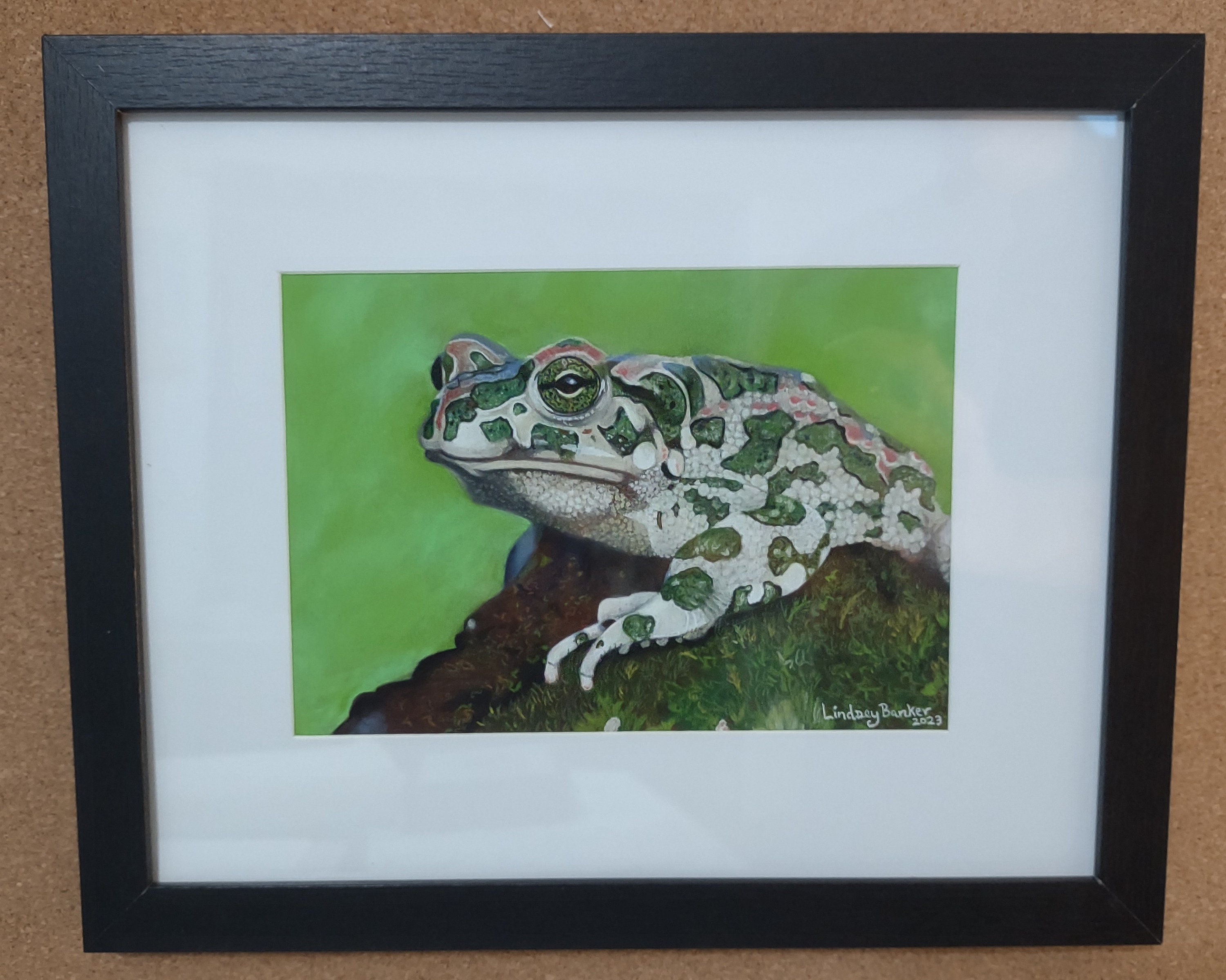 Toad Pastel Art ORIGINAL - Etsy