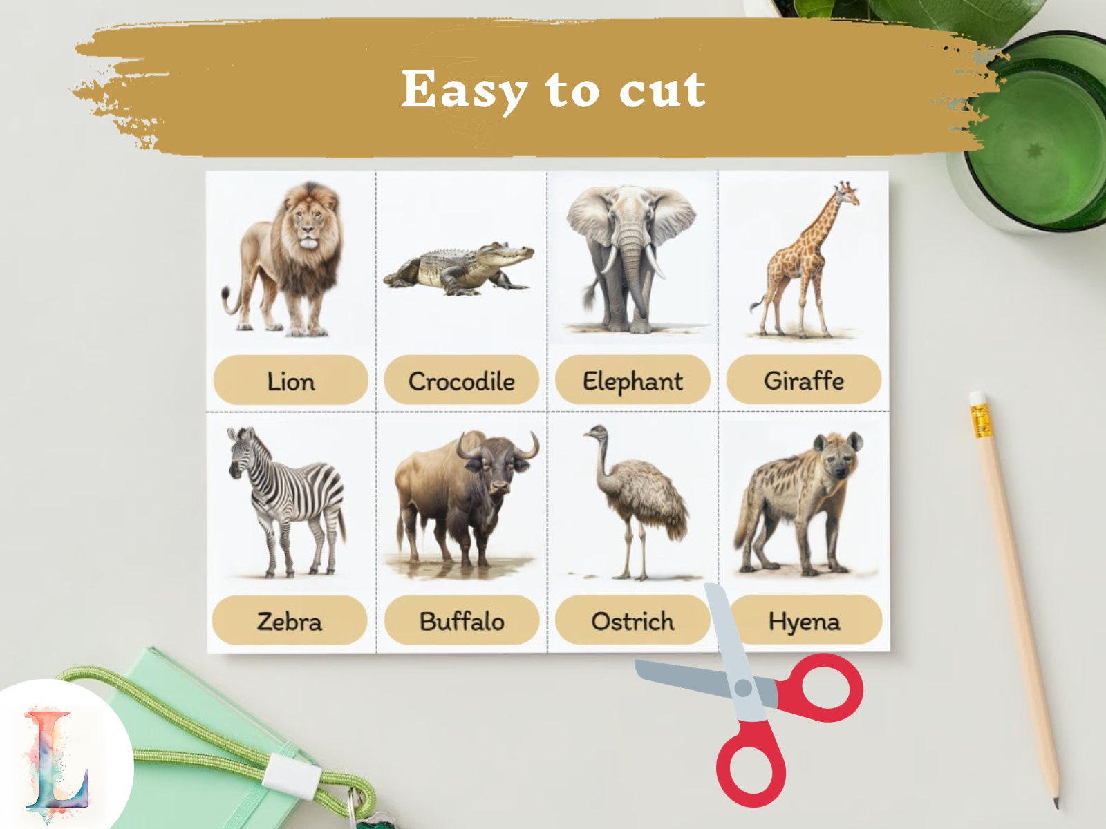 Flash Cards Safari Animals English | Montessori Toddler Kids Learning ...