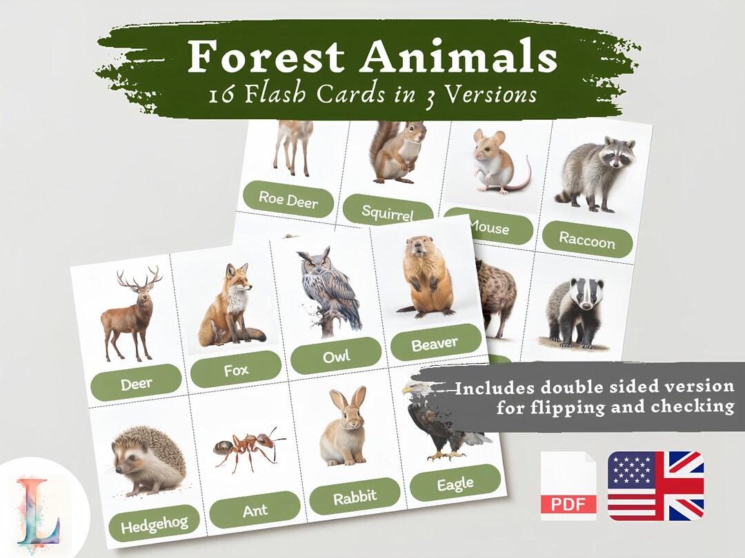 Flash Cards Forest Animals English | Montessori Toddler Kids Learning ...
