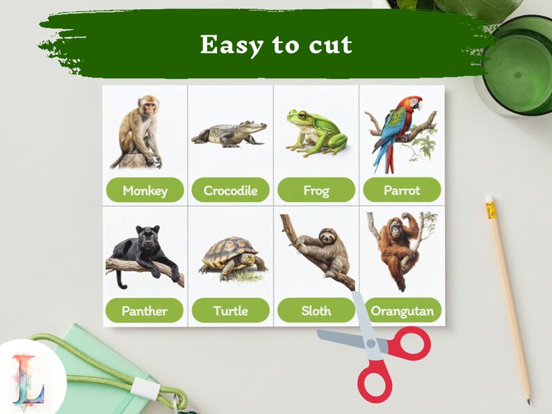 Flash Cards Jungle Animals English | Montessori Toddler Kids Learning ...