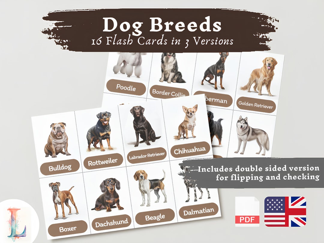 Tarjetas flash Razas de perros Inglés / montessori niños pequeños ...