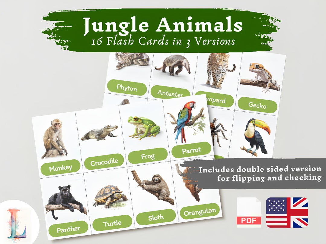 Flash Cards Jungle Animals English | Montessori Toddler Kids Learning ...
