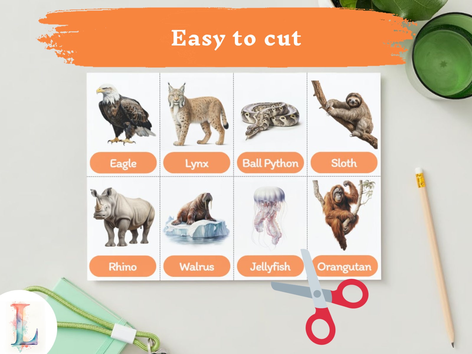 Flash Cards Animals Lvl 3 English | Montessori Toddler Kids Learning ...